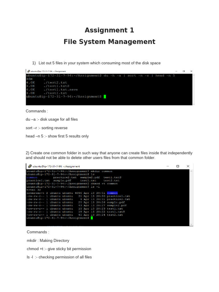 File Management | PDF