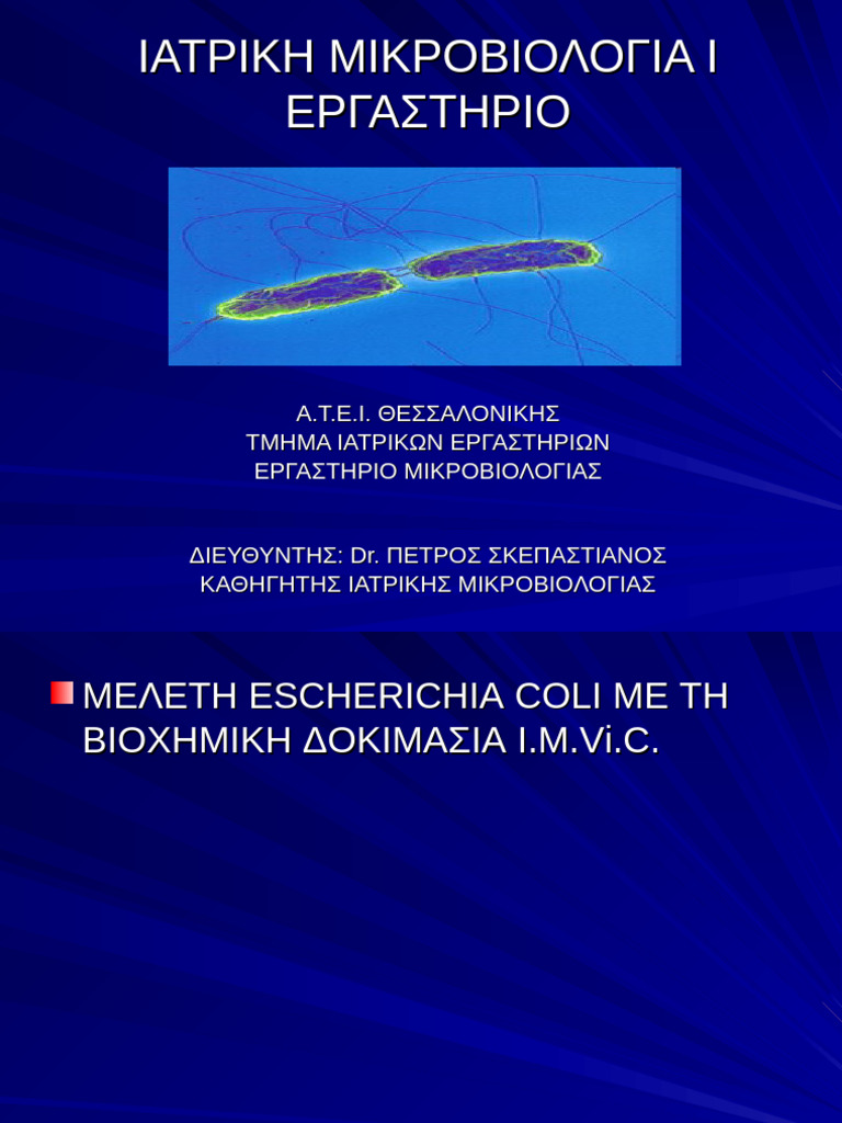 3.imvic Escherichia Coli | PDF