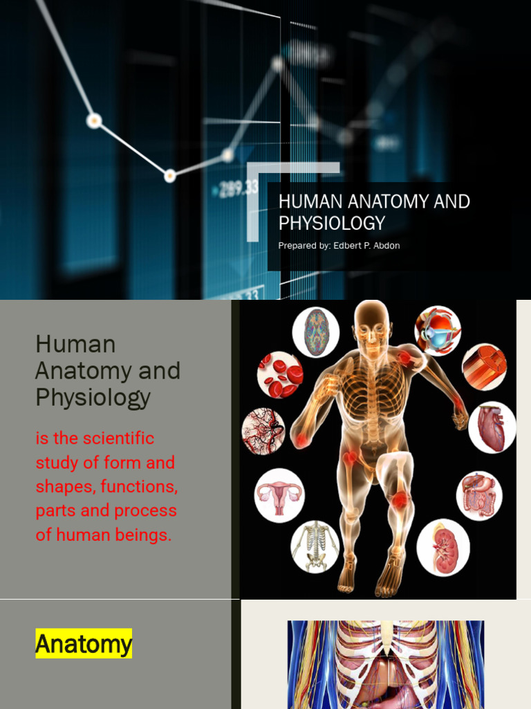Human Anatomy and Physiology Overview | PDF | Anatomy | Human Body