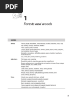 Descriptive Forest Writing Examples | PDF | Trees | Rainforest