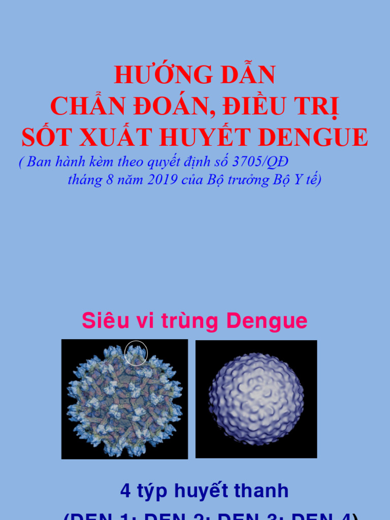 SXH-2019 - Cap Nhat | PDF