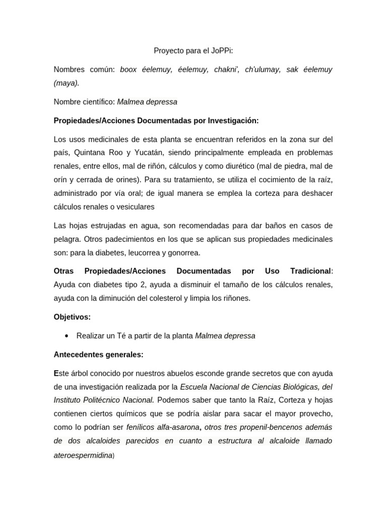 Proyecto para El JoPPi | PDF