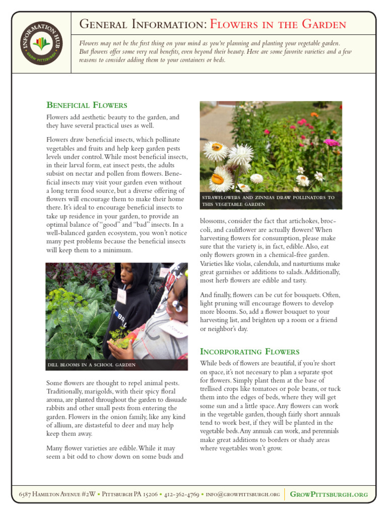 Essential Flower Benefits for Gardens | PDF | Flowers | Vegetables