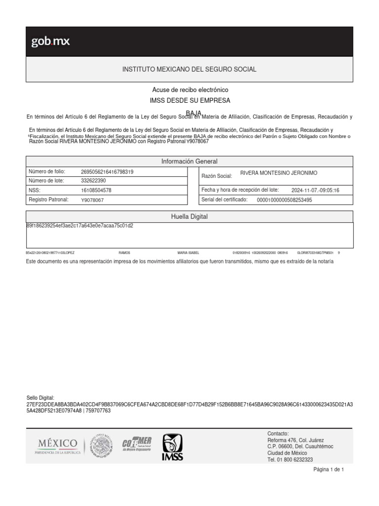 Acuse de Alta Imss DSDC | PDF