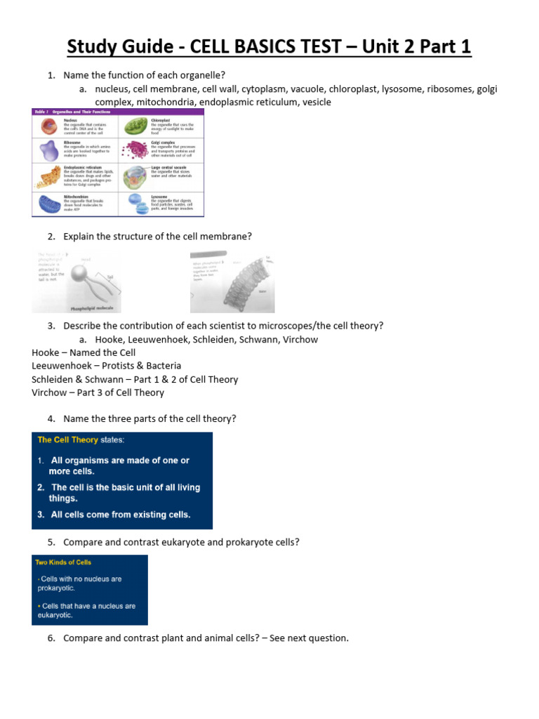 Cell Basics Study Sheet AK | PDF