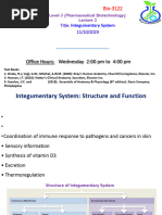 Friction Ridge Skin Anatomy Overview | PDF | Epidermis | Hand