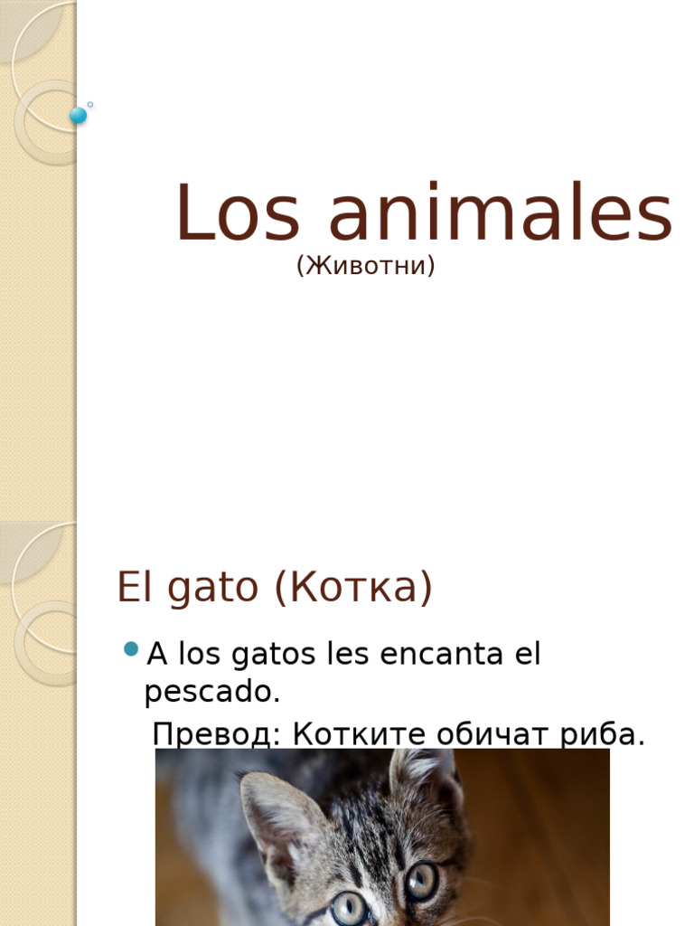 Los Animales (BG Translation) | PDF