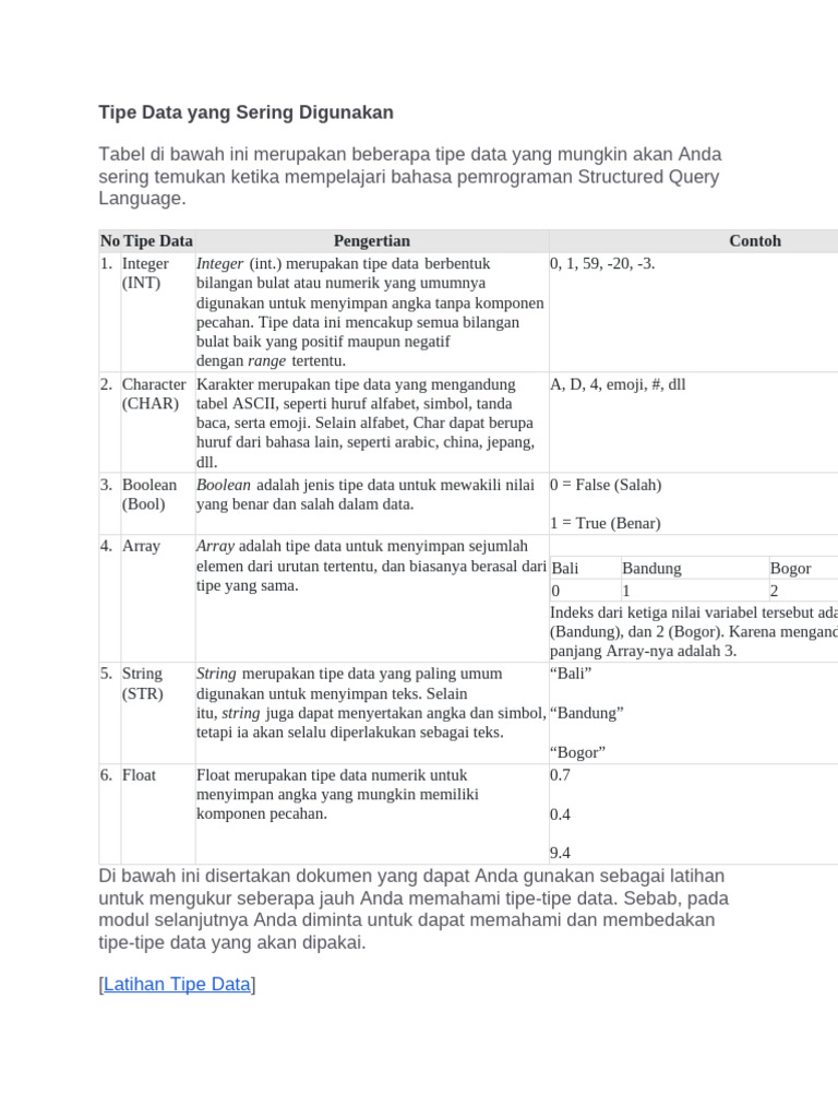 Tipe Data Yang Sering Digunakan | PDF