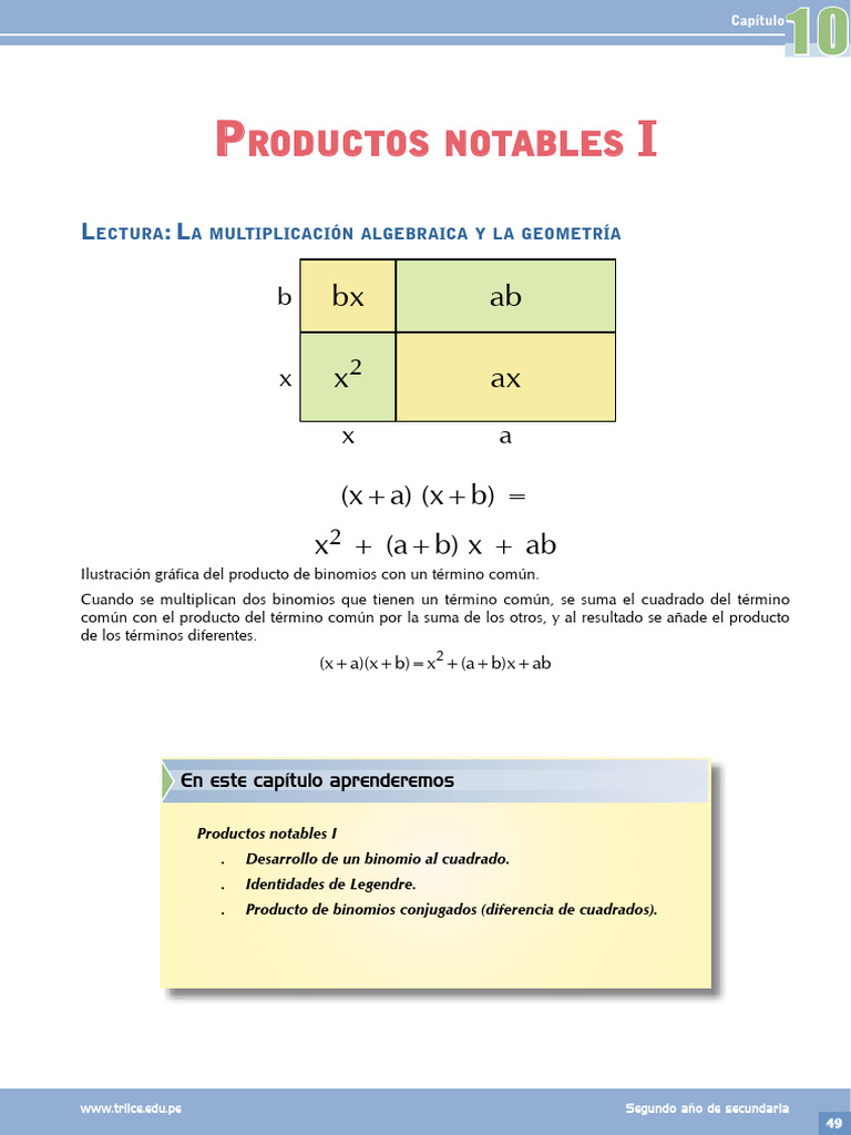 Tema 10 Productos Notables I | PDF | Matemáticas | Álgebra