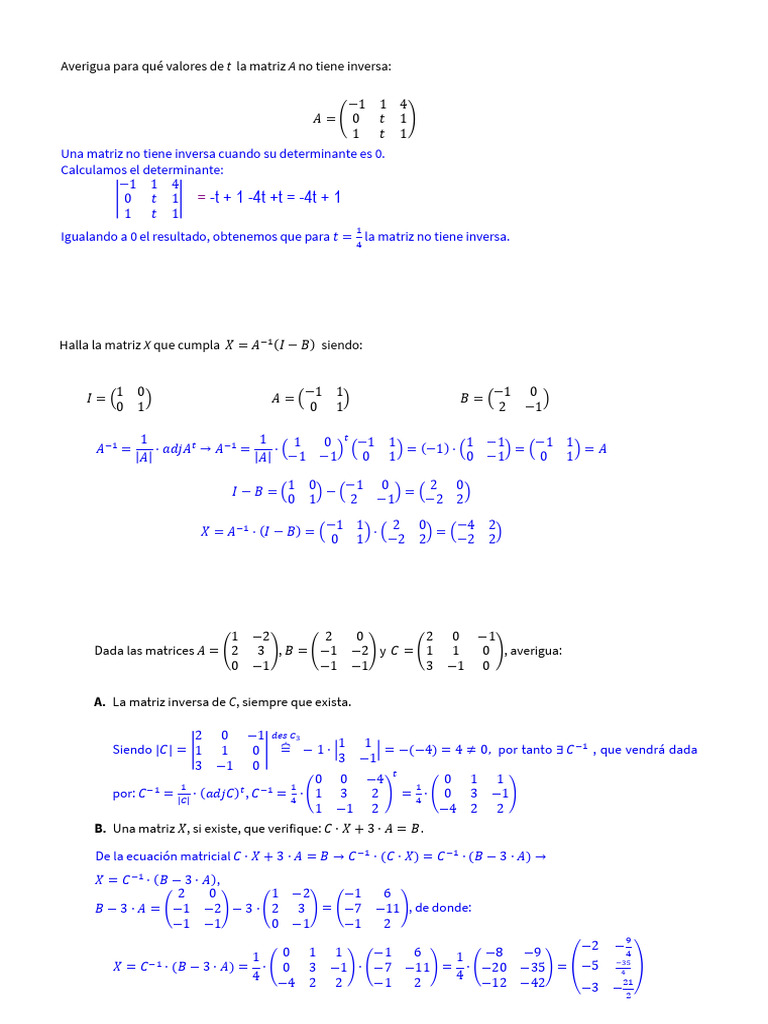 2º Bach Matrices | PDF | Determinante | Matriz (Matemáticas)