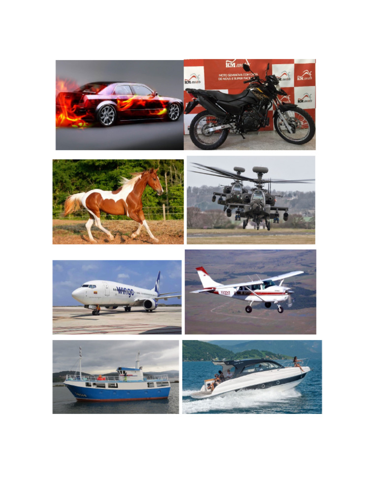 Medios de Transporte | PDF