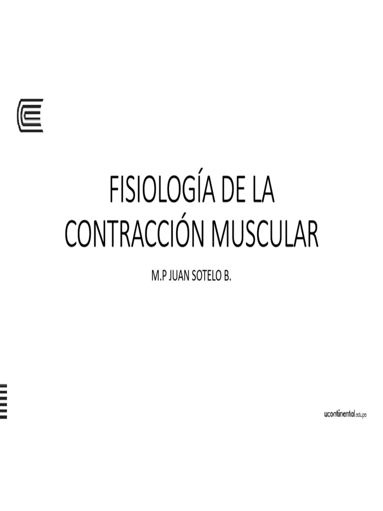 Clase 03 | PDF