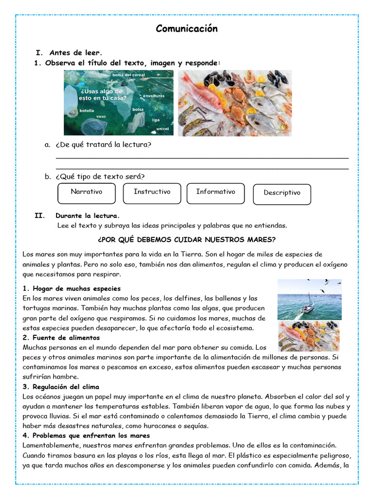 Importancia de Cuidar los Mares | PDF | Mar | Agua