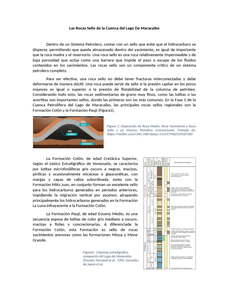 Rocas Sello en la Cuenca de Maracaibo | PDF | Depósito de petróleo ...