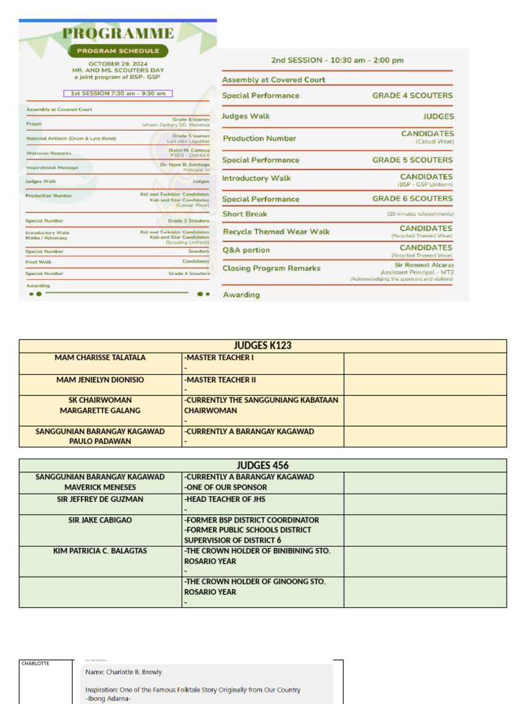 Program Judges Description | PDF
