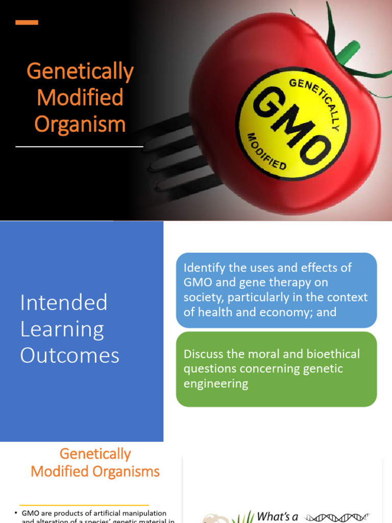 Understanding GMOs: Uses and Ethics | PDF | Genetically Modified ...