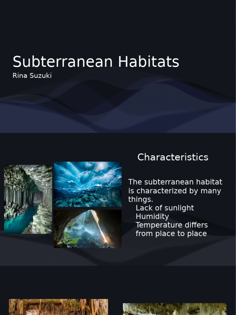 SC Subterranean Habitat | PDF | Home & Garden | Science & Mathematics