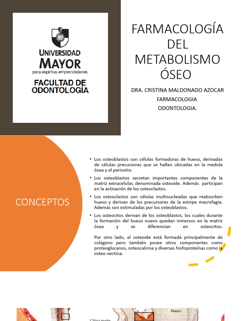 Metabolismo Oseo | PDF | Hueso | Vitamina D