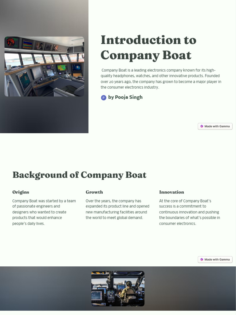 Introduction To Company Boat | PDF | Business | Economies