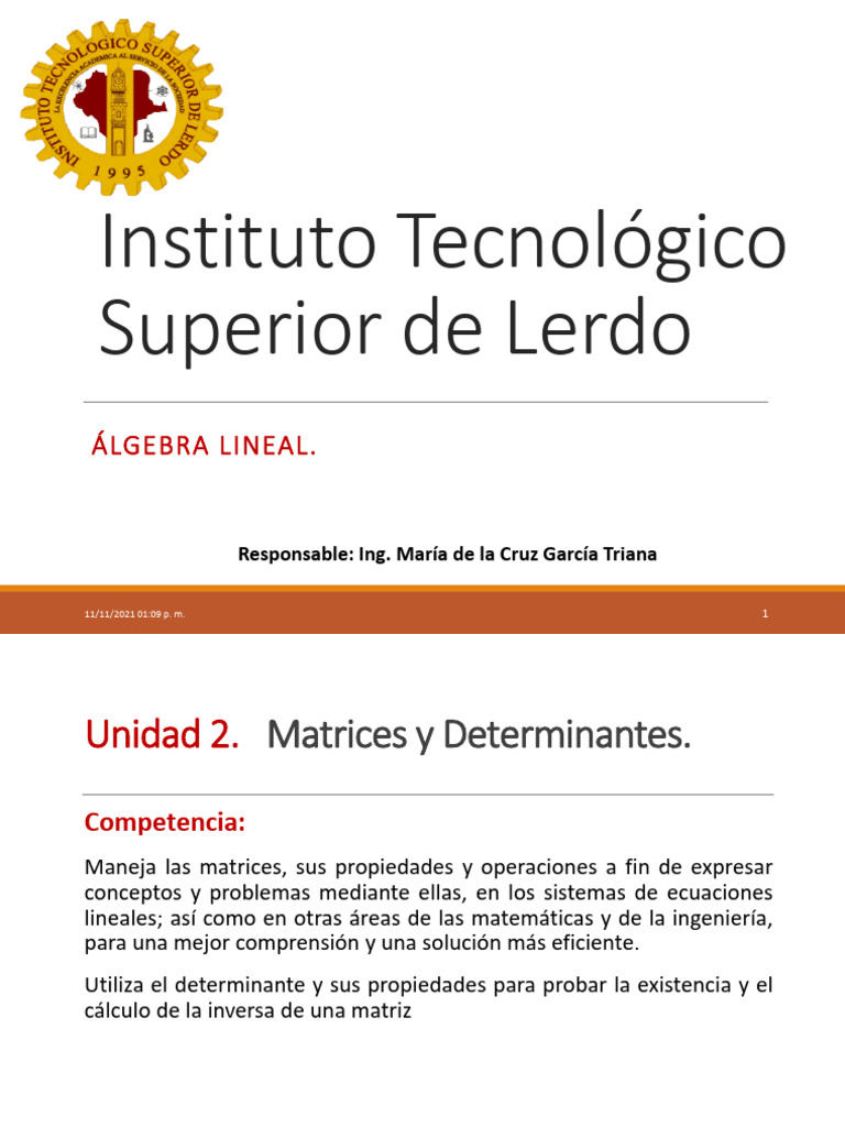 Matrices y Determinantes en Álgebra Lineal | PDF | Matriz (Matemáticas ...