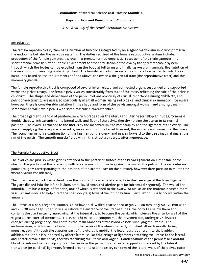 447 RED S2 Female Anatomy 2017 | PDF | Uterus | Pelvis