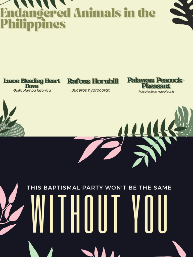 Extinct Animals in The Philippines | PDF | Science & Mathematics