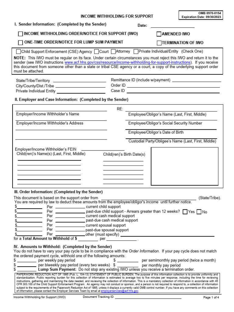 IWO Child Support Form Sample | PDF | Child Support | Payments