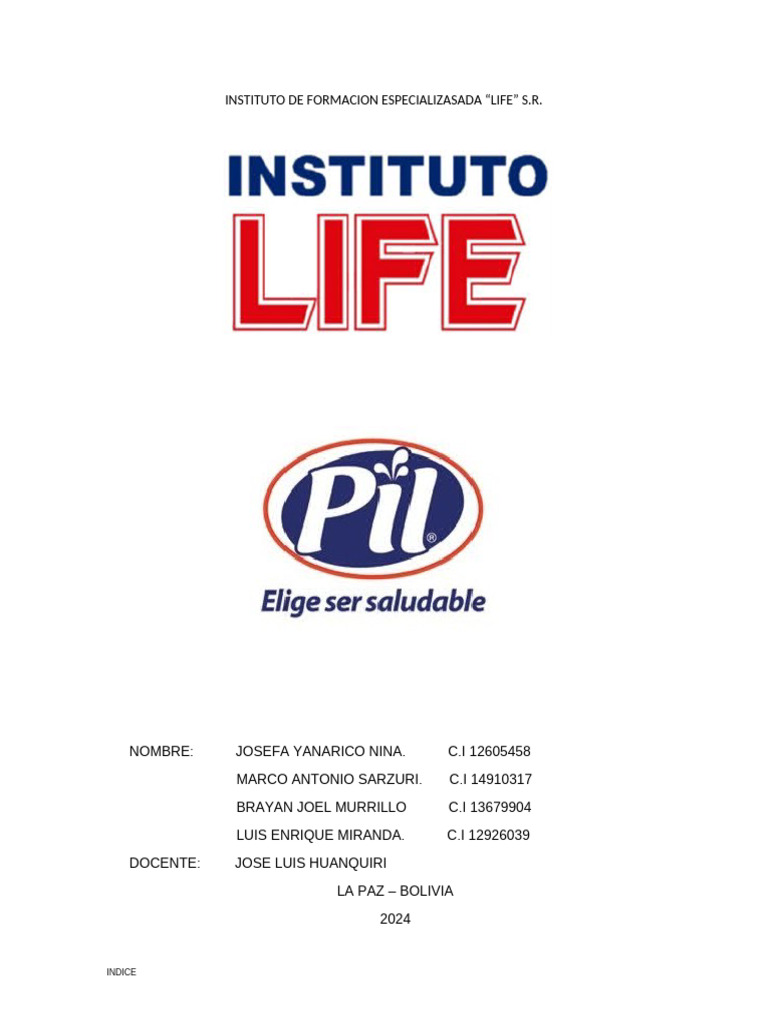 Pil Informe Final | PDF | Marketing | Business