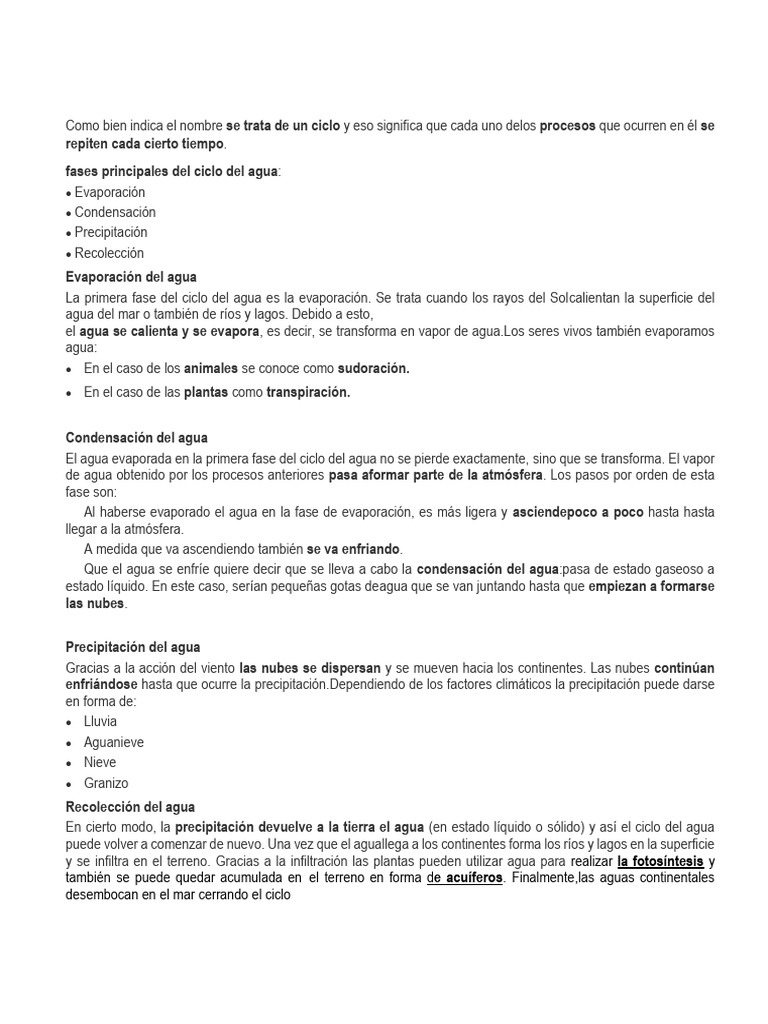 Fases del Ciclo del Agua Explicadas | PDF | Evaporación | Precipitación