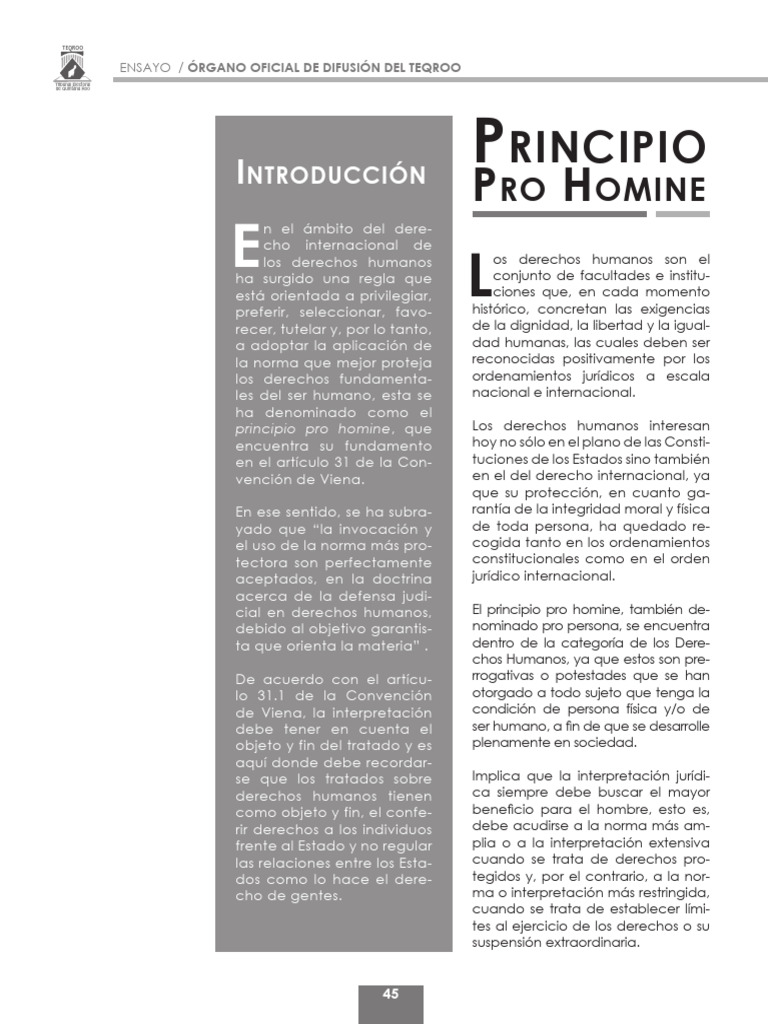 Principio Pro Homine | PDF | Convenio europeo de derechos humanos ...