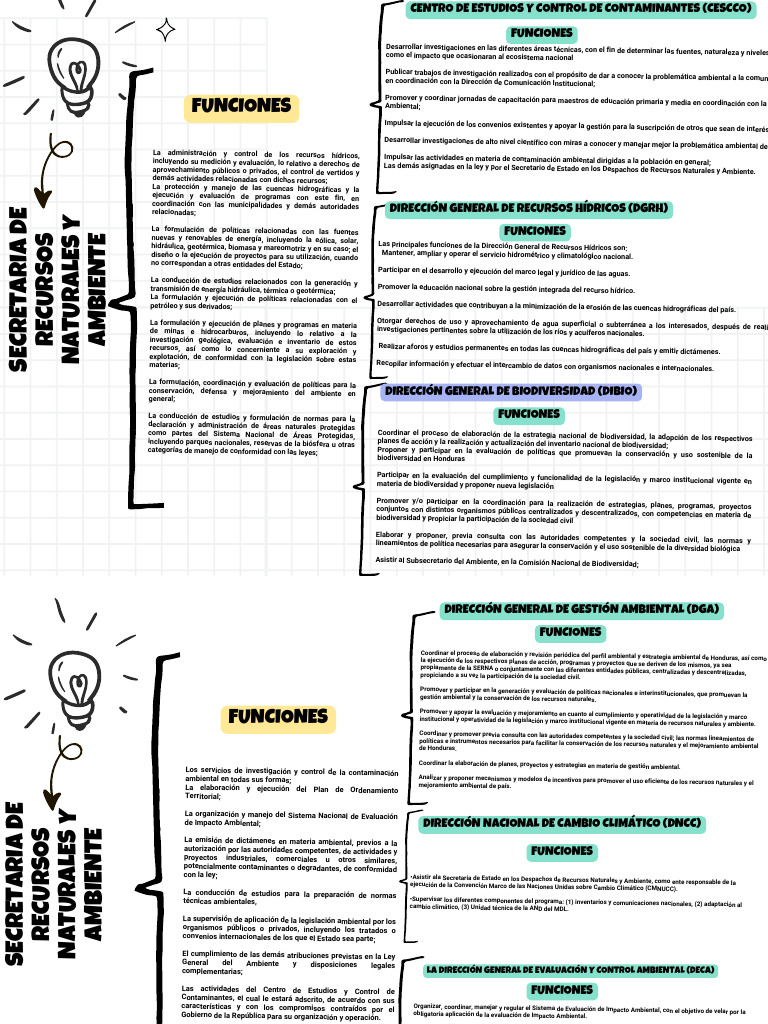 Esquema Serna y Sus Funciones | PDF | Entorno natural | Biodiversidad