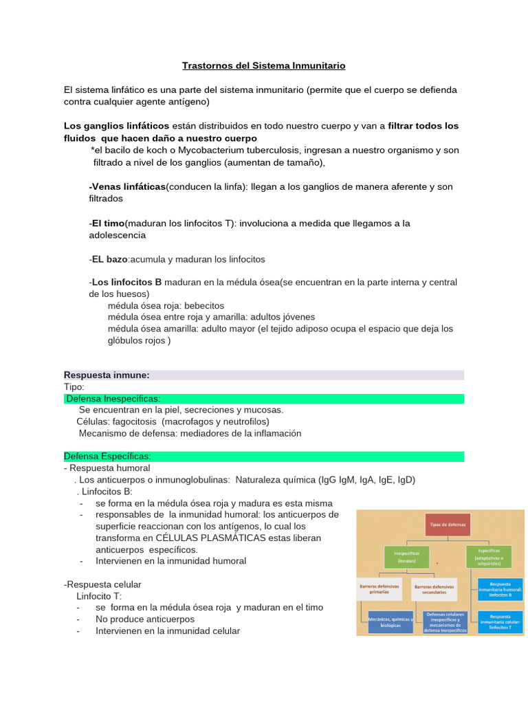 Trastornos Del Sistema Inmunitario | PDF | Sistema inmune | Linfocitos