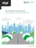 INtroduction to ESG Slides ACE[1] | PDF | Governance | Corporate Social ...