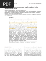 Matrix vs. Clast Supported Breccias | PDF | Clastic Rock | Sedimentary Rock