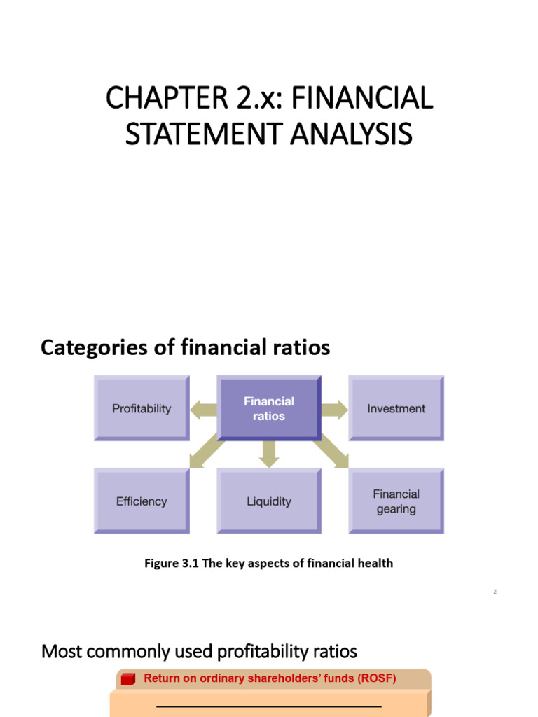 CHAPTER 2.x - Financial Statement Analysis - Case Study - sv1.0 | PDF ...