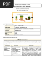 Proyecto-Señor Cabeza de Pasto | PDF