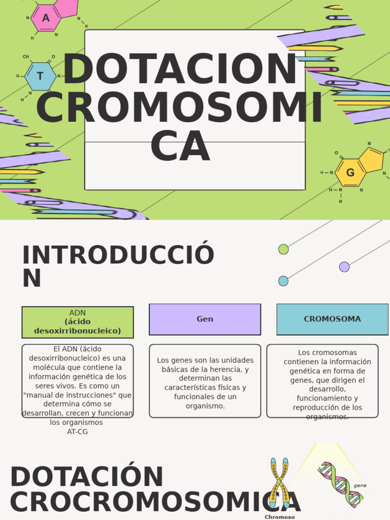 Dotacion Cromosomica | PDF | Cromosoma | Biología Celular)