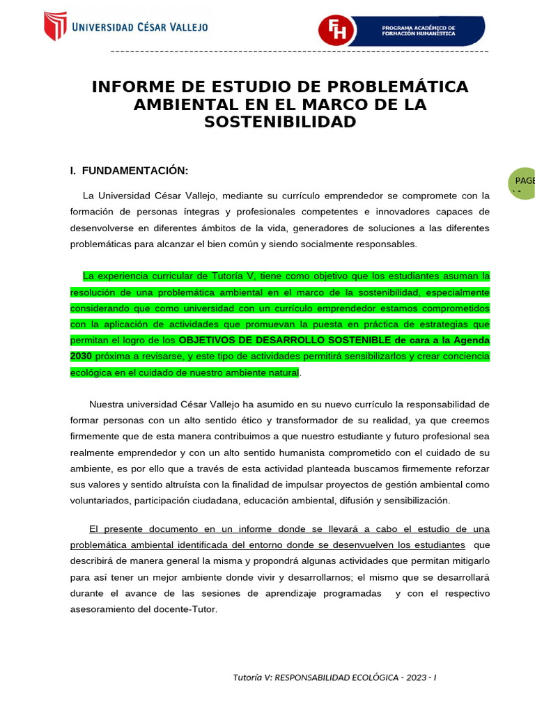 Informe Tutoria V 2023-1 | PDF | Sustentabilidad | Plan de estudios