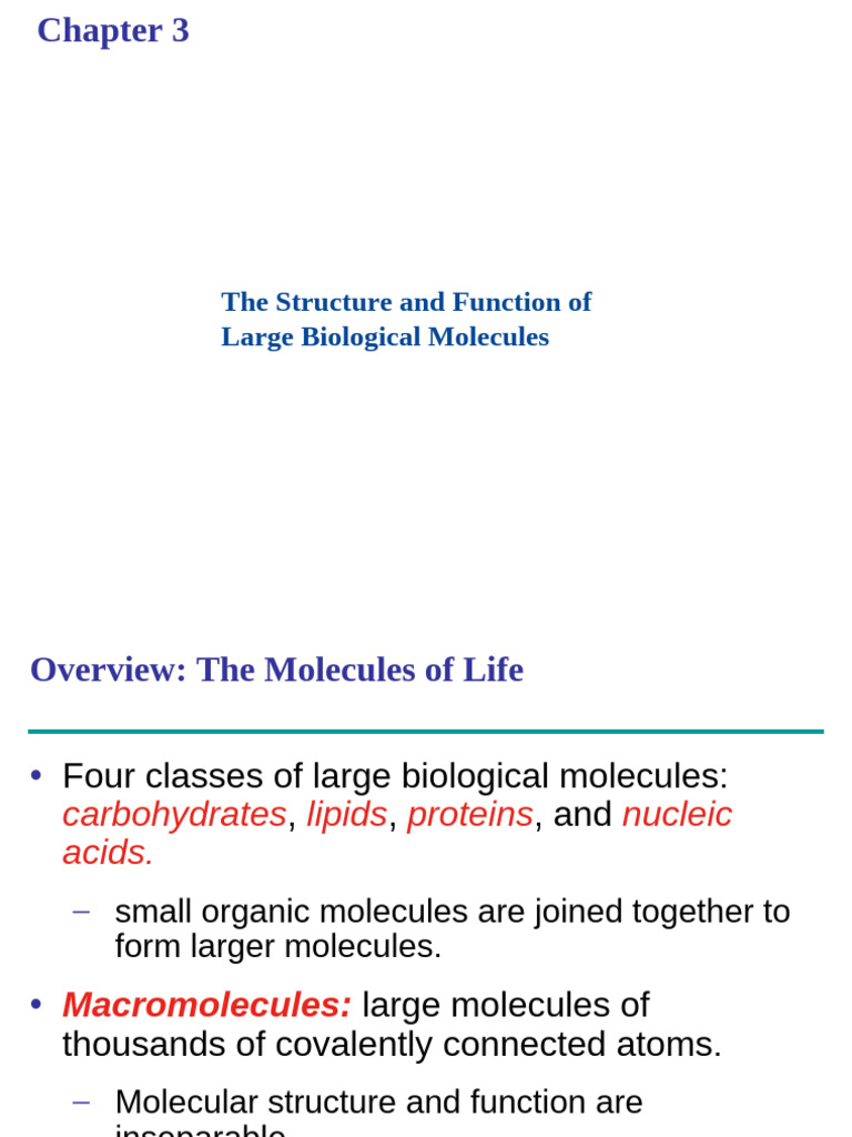 Grabowski Chapter 3-MacroMolecules | PDF | Nucleotides | Macromolecules