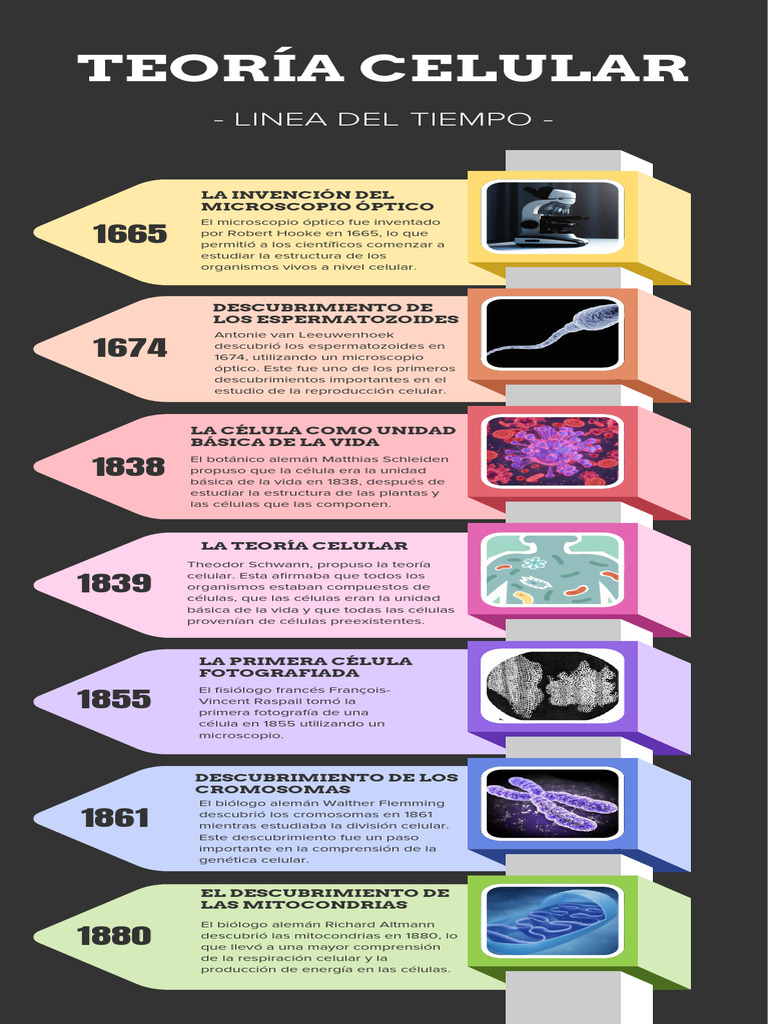Teoría Celular Linea Del Tiempo | PDF | Biología Celular) | Microscopio