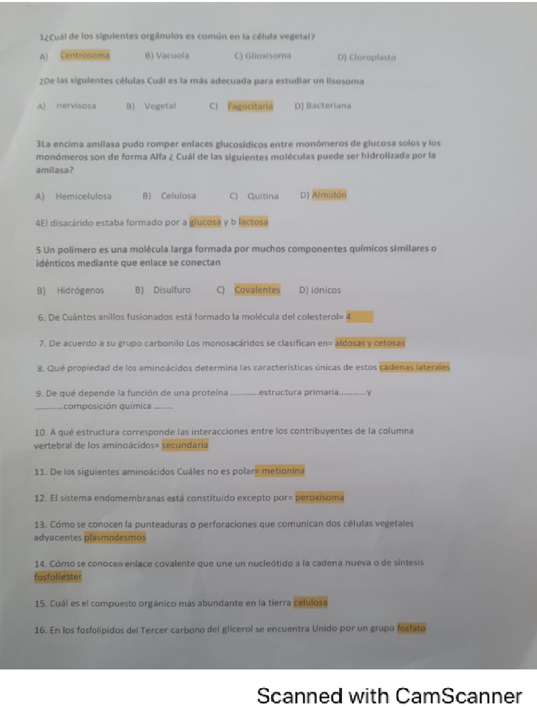 Pruebas Combinado | PDF