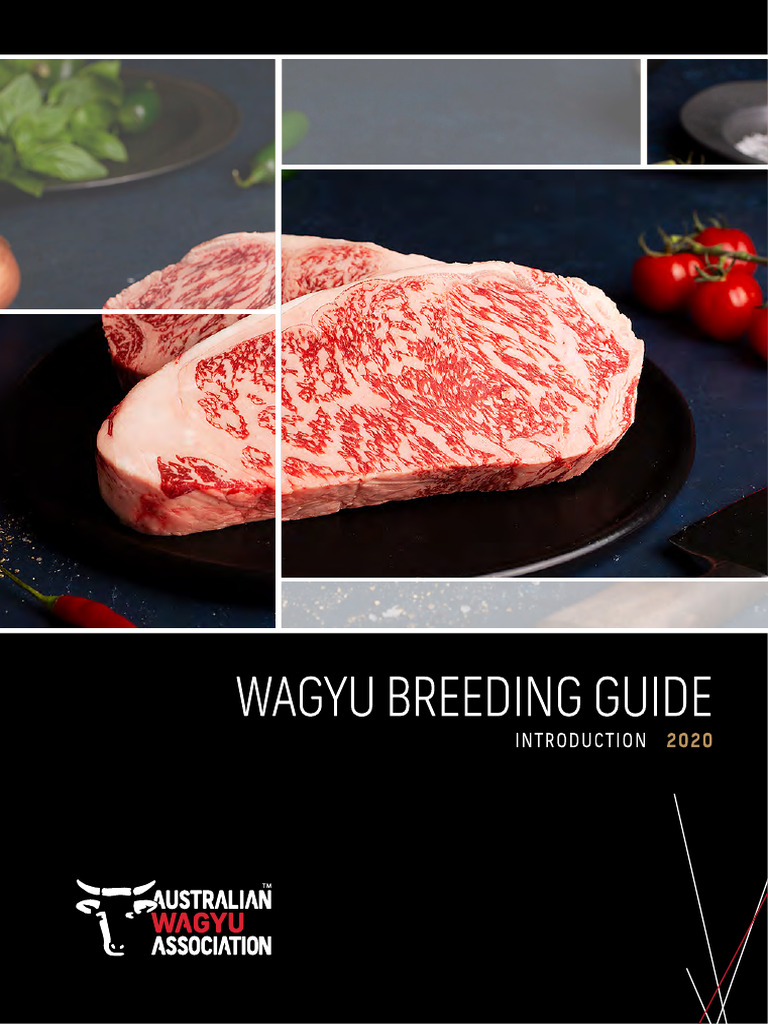 Wagyu Breeding Guide 2020 | PDF