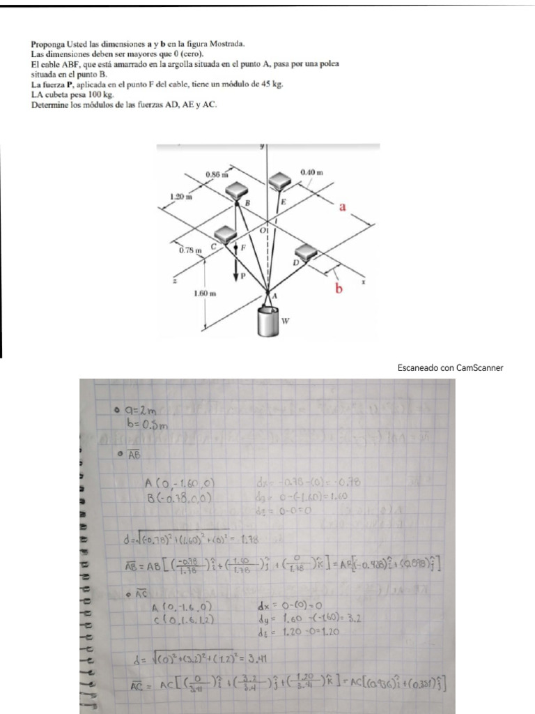 Dolores Ramírez Fernando Yael | PDF