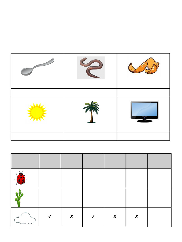 Grade 2 Science Exam Revision Paper | PDF | Water | Plants