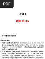 Red Blood Cell Diagram | PDF | Red Blood Cell | Blood