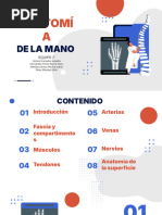 Anatomía de la Muñeca y Mano | PDF | Mano | Sistema musculoesquelético
