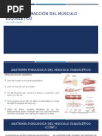 El Papel Del Calcio en La Contracción Muscular | PDF | Músculo ...