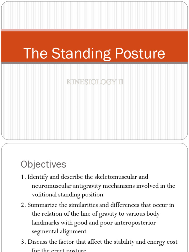 Posture 1 | PDF | Pelvis | Anatomical Terms Of Motion