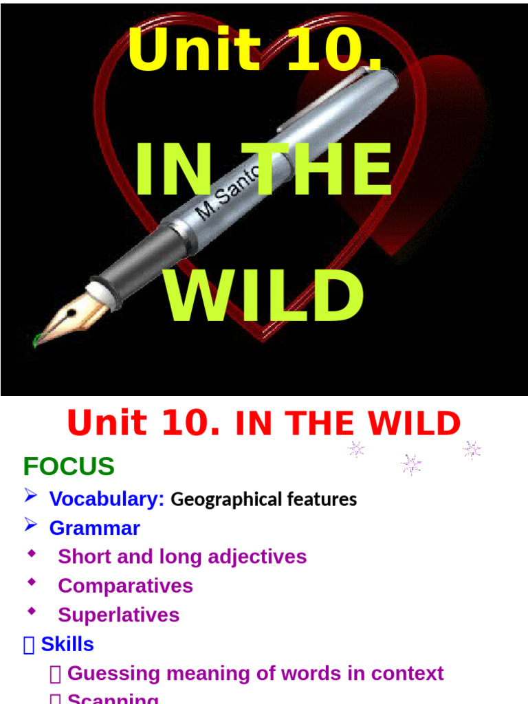 Unit 10. in The Wild | PDF | Adjective | Noun