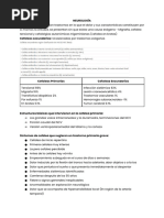 Banderas Rojas en Cefalea: SNOOP4 | PDF | Dolor de cabeza | Meningitis